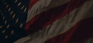 NovoTHOR Bed: Full-Body Red Light Therapy for Pain Relief & Recovery